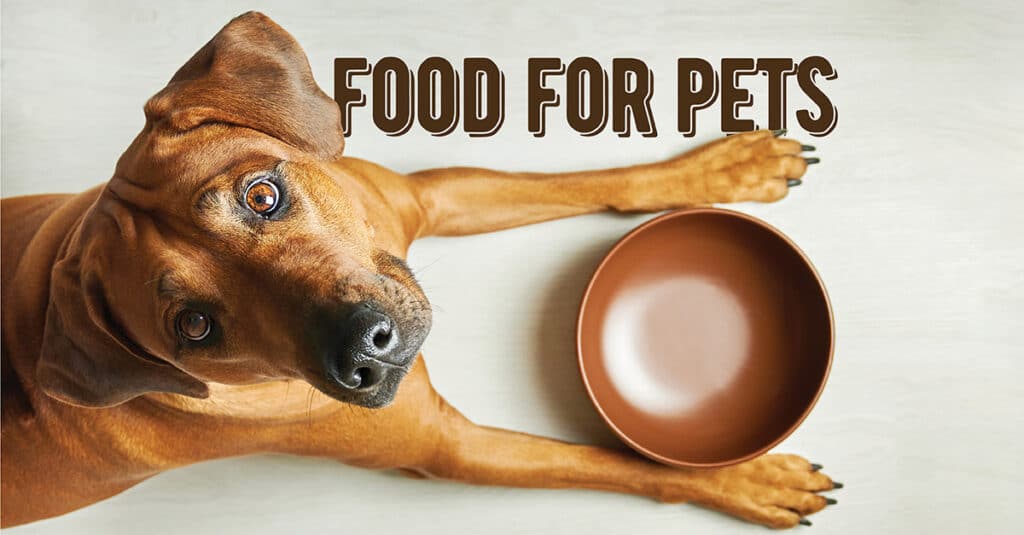 Food for Pets - Enjoy Magazine